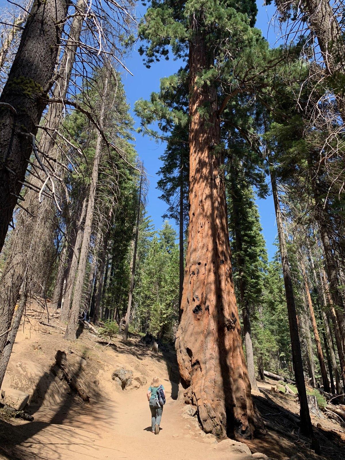 Historic Names Restored to Yosemite Lodging Icons - Gavin Law Offices, PLC